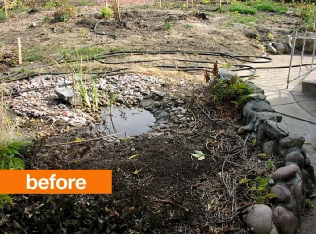 Elevating Outdoor Aesthetics: The Transformation of Eliza's Baby Blue ...