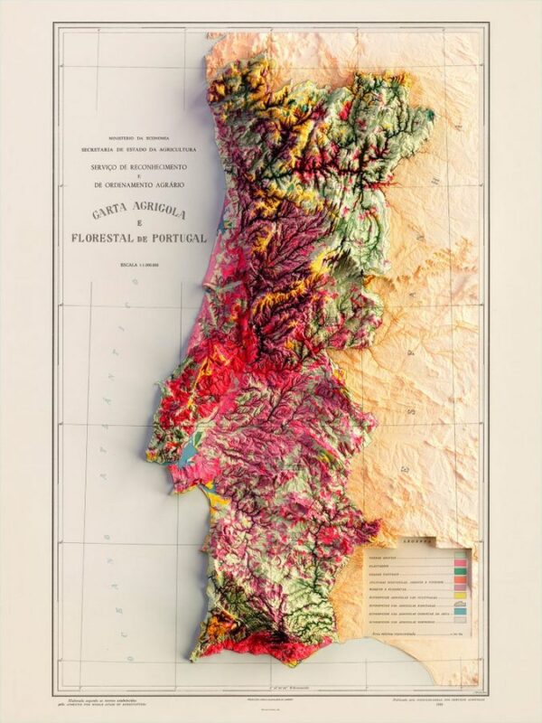 Exploring 3D Cartography Journeys: Viz Art's Innovative Maps ...