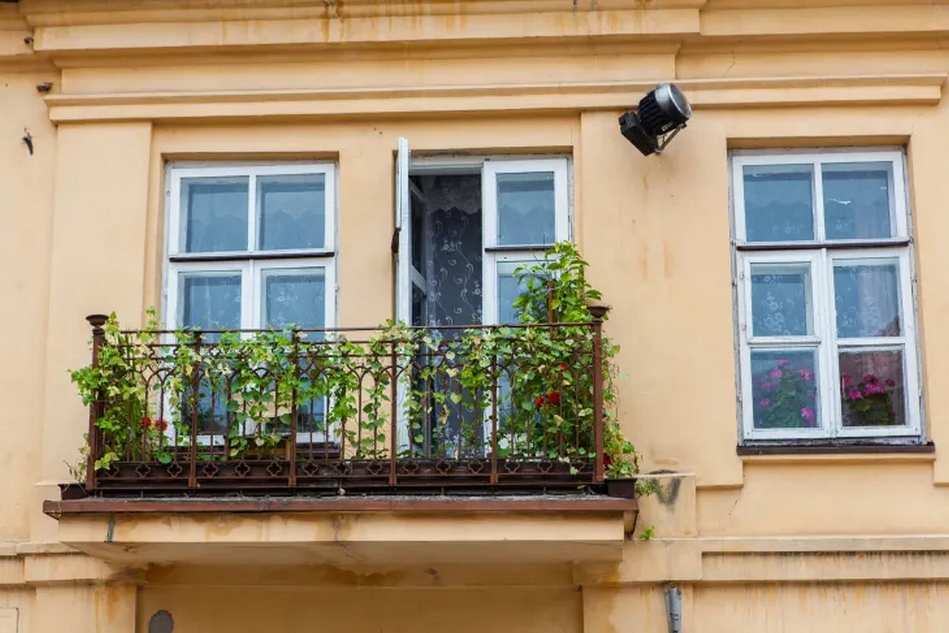 Understanding Juliet Balconies: A Decorative Architectural Detail ...